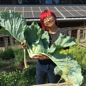 Volunteer on 9/12/2024 with Friends of Zenger Farm in Portland, OR